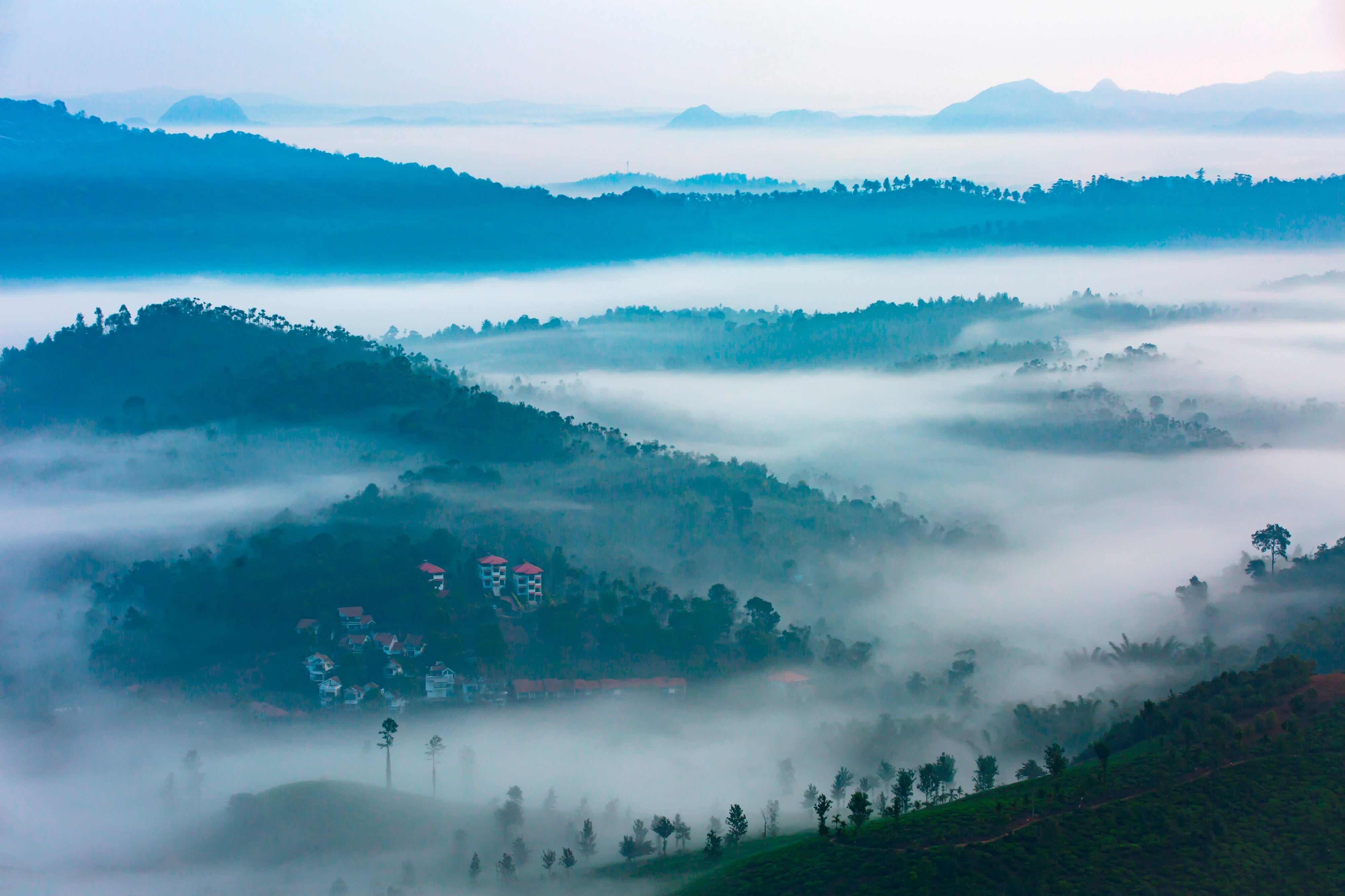 Zostel Plus Wayanad 𝗕𝗢𝗢𝗞 Wayanad Hostel