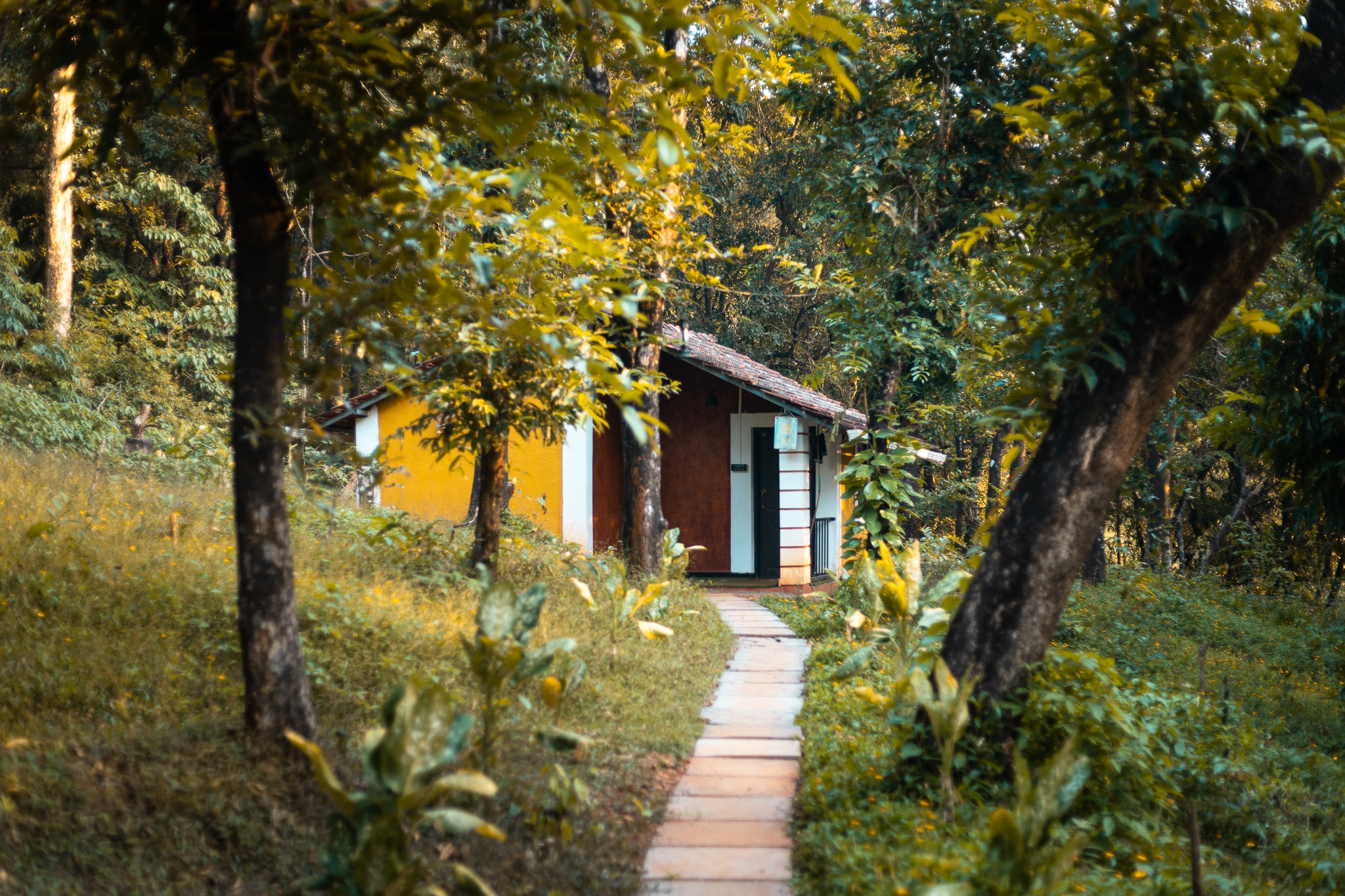 Photos of The Inaka Goa - Goa Hotel on Goibibo