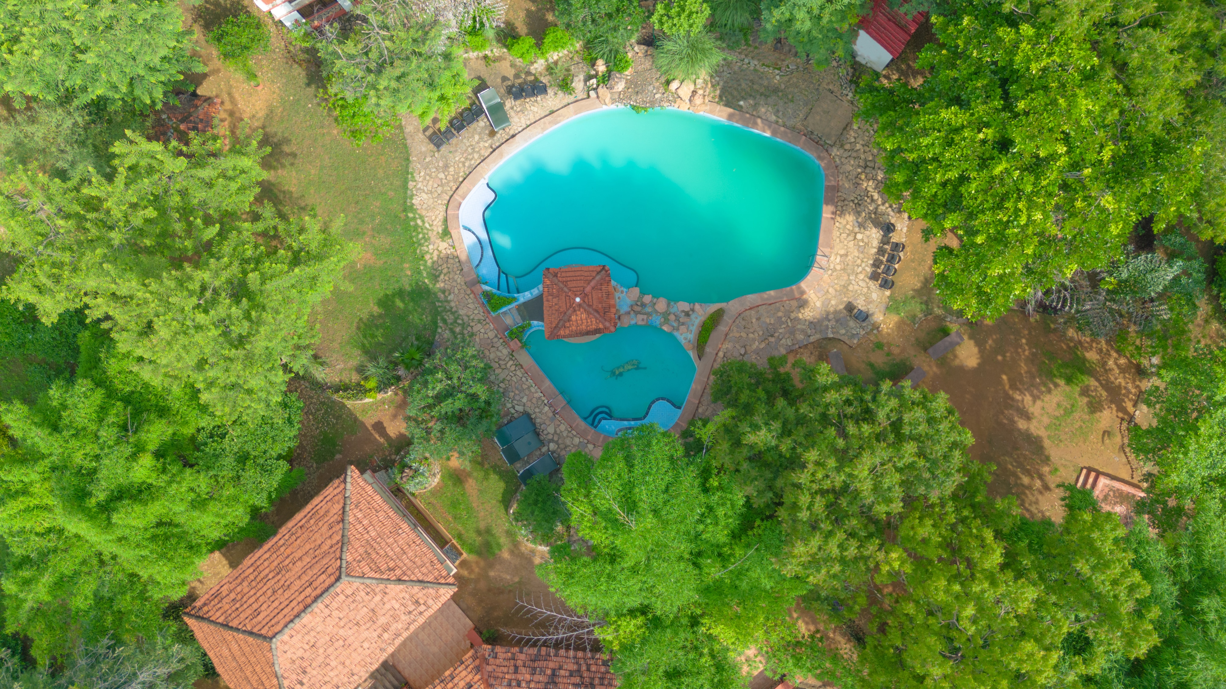 Tiger Moon Resort,Ranthambore (A Wildlife Resort) 𝗕𝗢𝗢𝗞 Sawai Madhopur ...