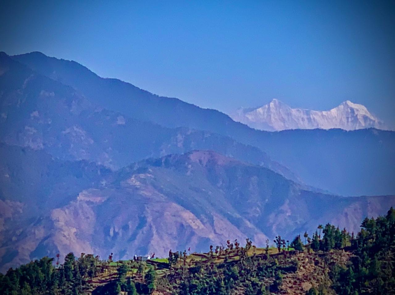 Mango Tree Courtyard Mussoorie 𝗕𝗢𝗢𝗞 Mussoorie Hotel 𝘄𝗶𝘁𝗵 𝗙𝗥𝗘𝗘 𝗖𝗮𝗻𝗰𝗲𝗹𝗹𝗮𝘁𝗶𝗼𝗻