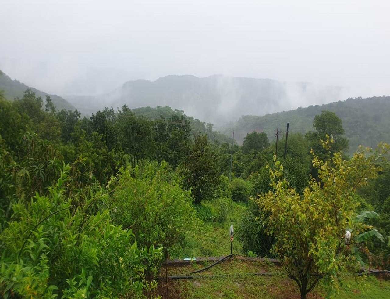 Kokan Safari, Chiveli 𝗕𝗢𝗢𝗞 Chiplun Hotel 𝘄𝗶𝘁𝗵 𝗙𝗥𝗘𝗘 𝗖𝗮𝗻𝗰𝗲𝗹𝗹𝗮𝘁𝗶𝗼𝗻