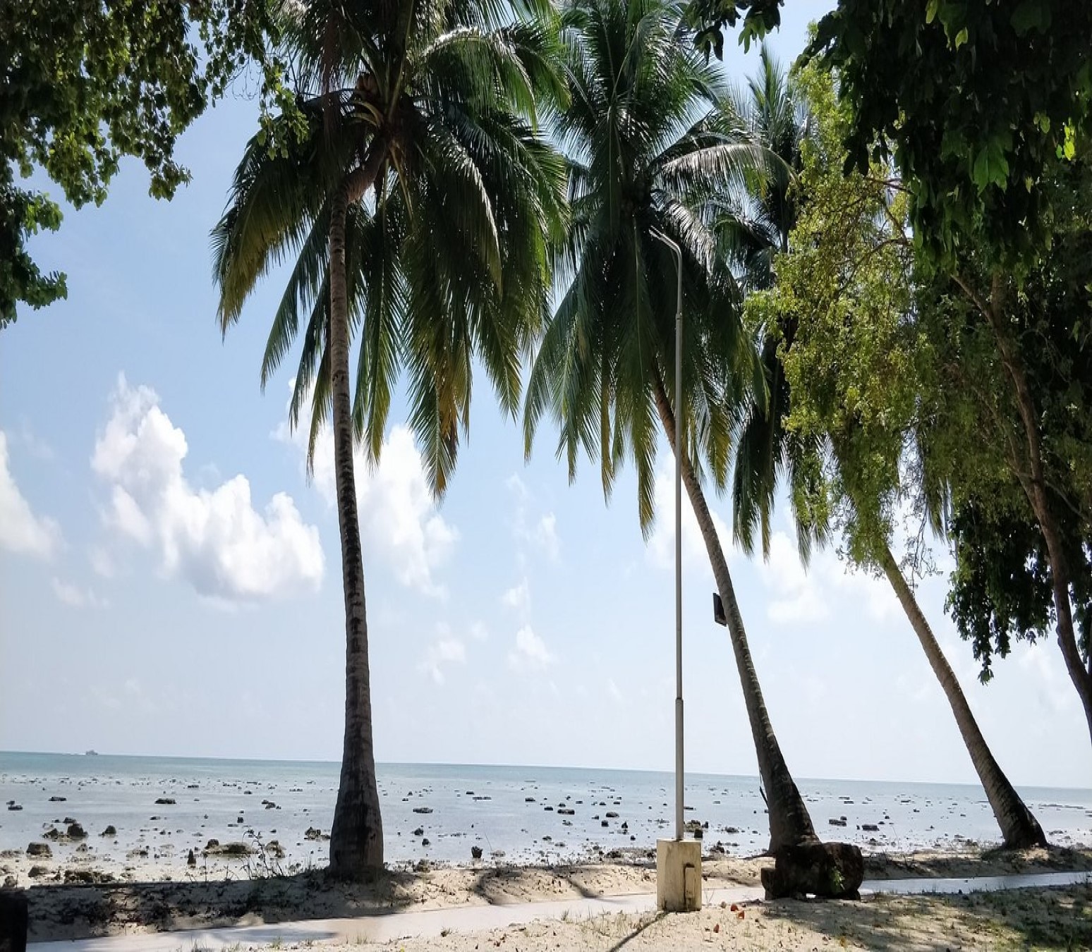 Dolphin Beach Resort 𝗕𝗢𝗢𝗞 Havelock Hotel 𝘄𝗶𝘁𝗵 𝗙𝗥𝗘𝗘 𝗖𝗮𝗻𝗰𝗲𝗹𝗹𝗮𝘁𝗶𝗼𝗻