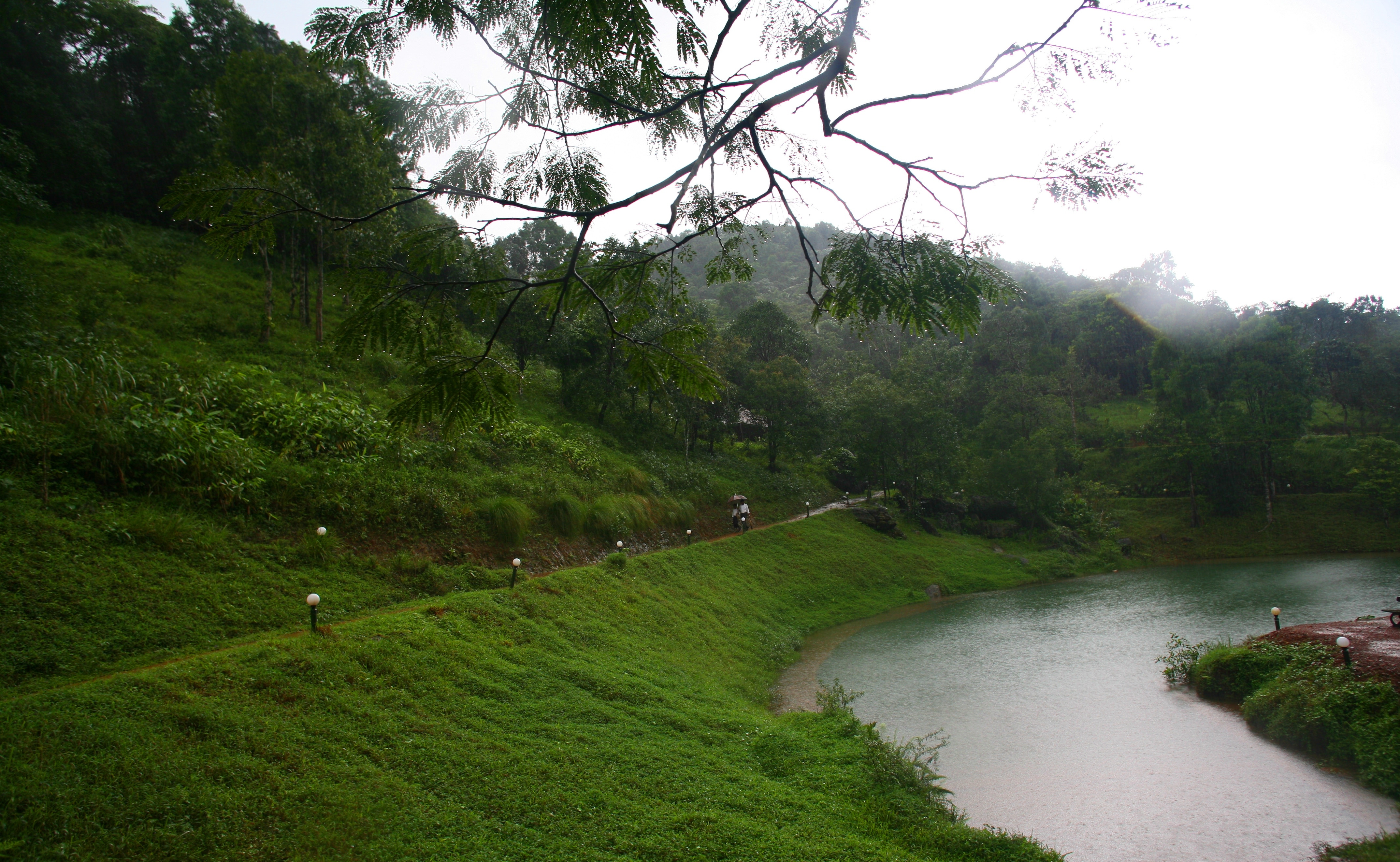 Rain Country Resort Wayanad Resort Price, Address & Reviews