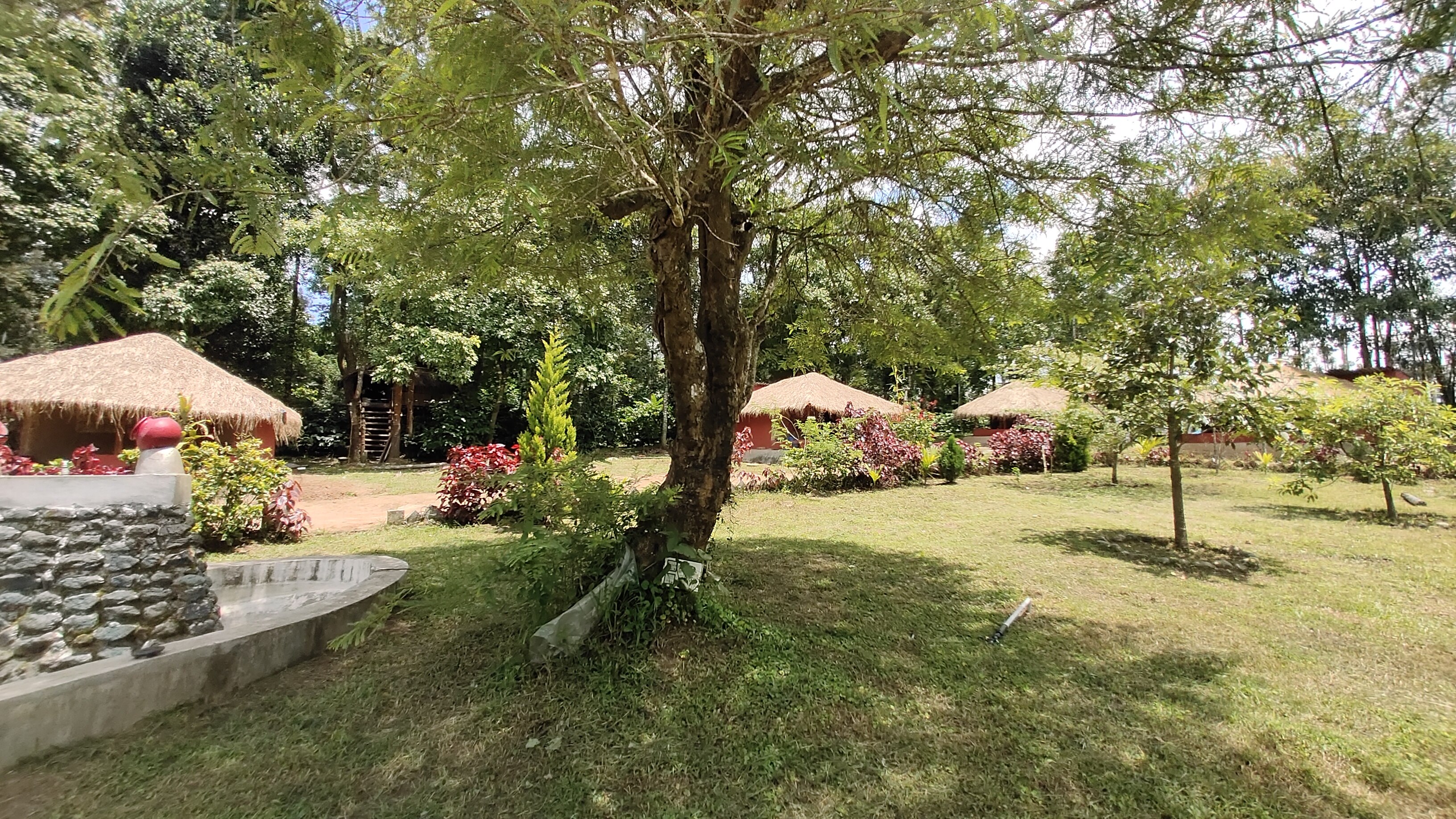 Rosetta, Sakleshpur 헕헢헢헞 Alur, Karnataka Resort
