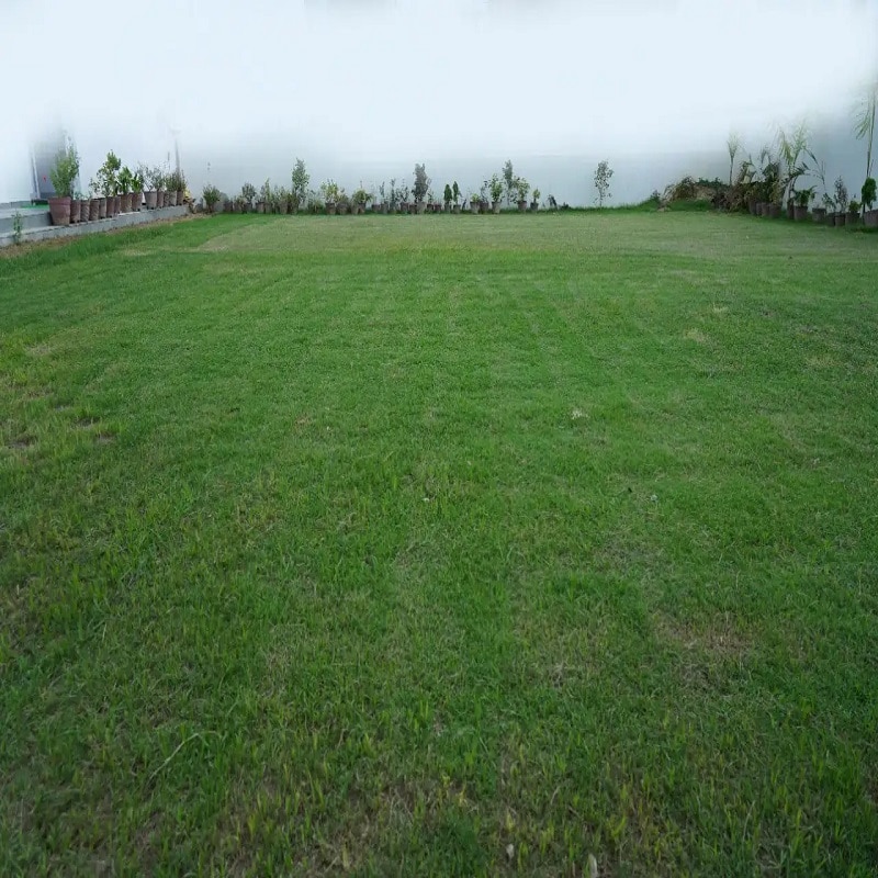 The Planet Inn Hotel Lucknow - Reviews, Photos & Offer