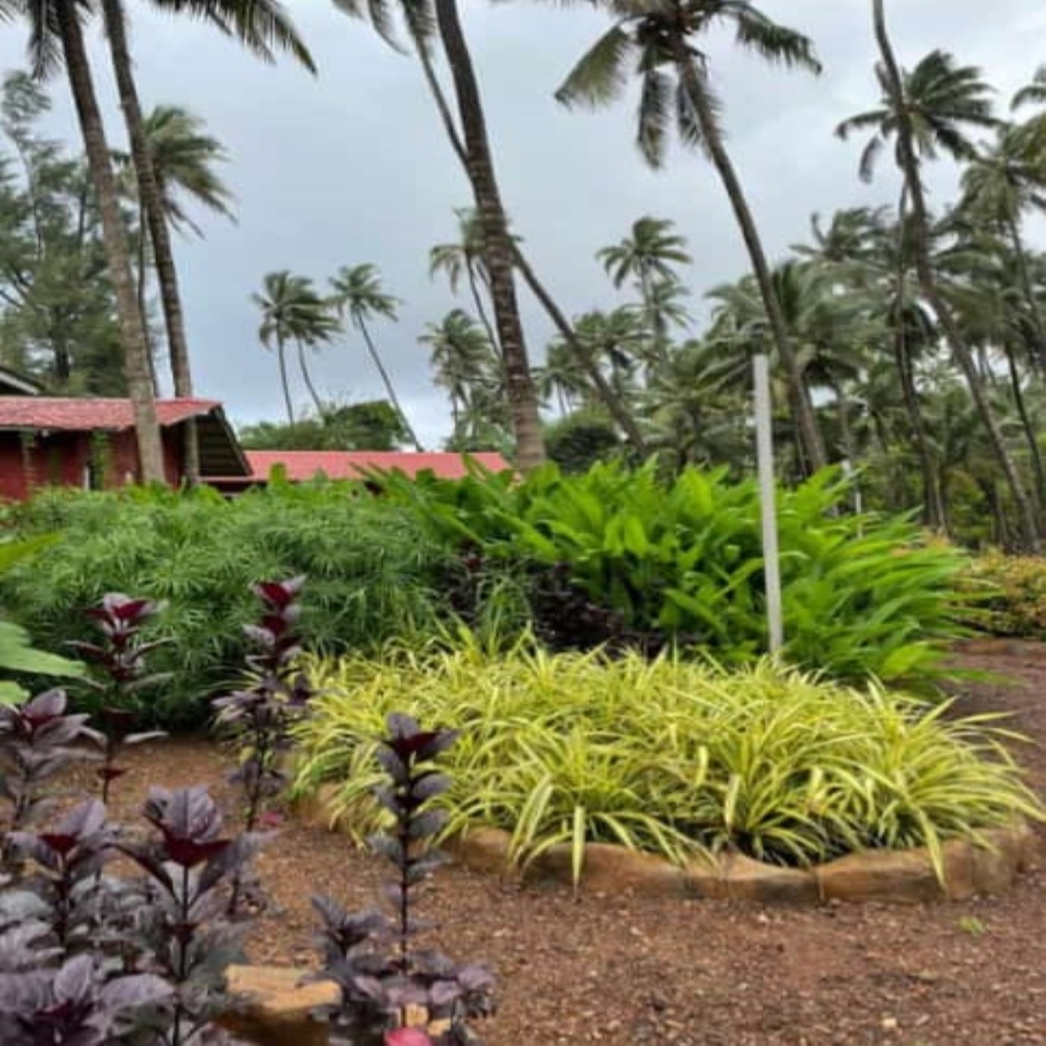 The Stream Resort Best Rates on Diveagar Hotel Deals, Reviews & Photos