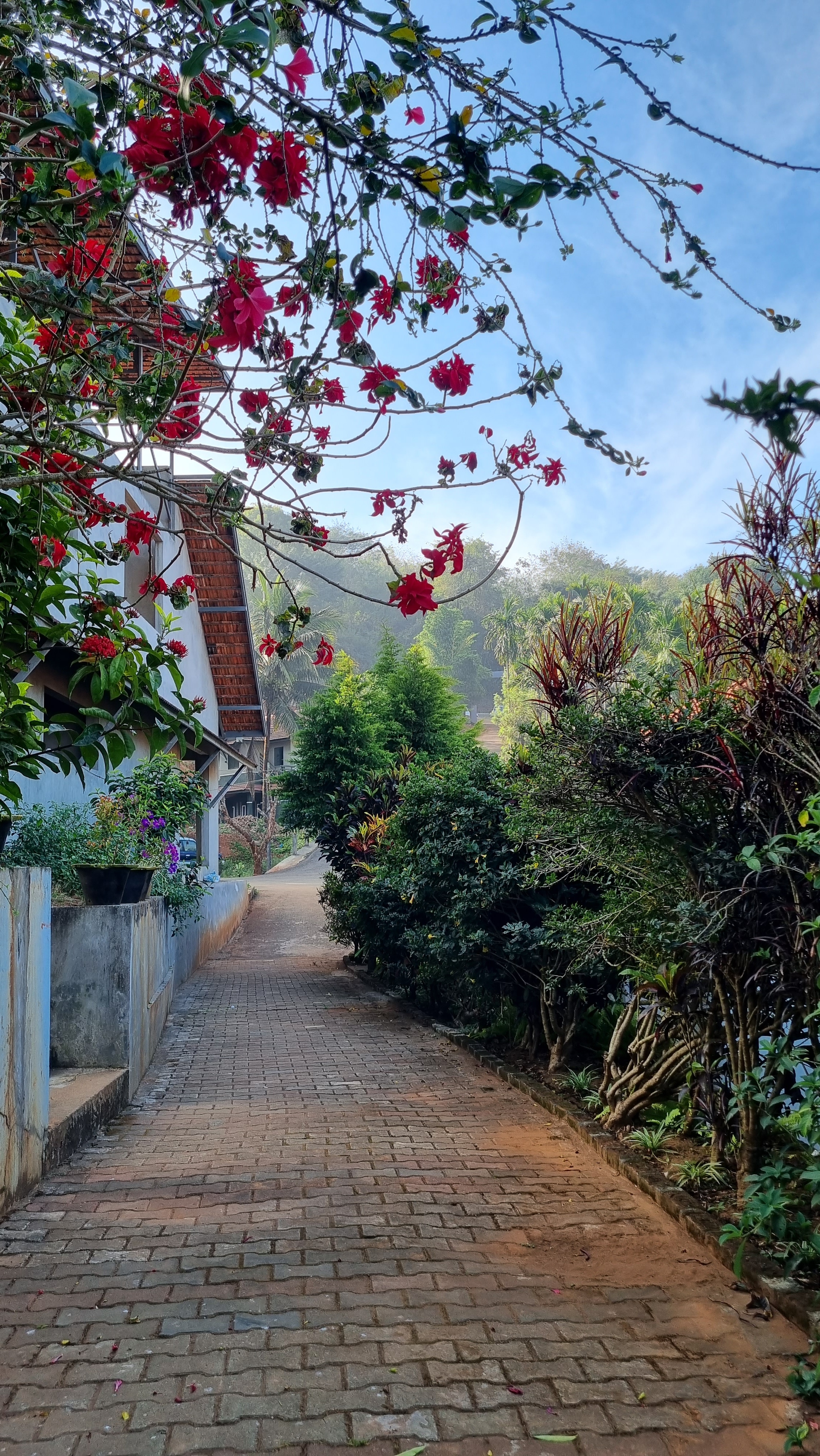 Photos of Mudumalai Holiday Village (20kms from Masinagudi) - Resort in ...