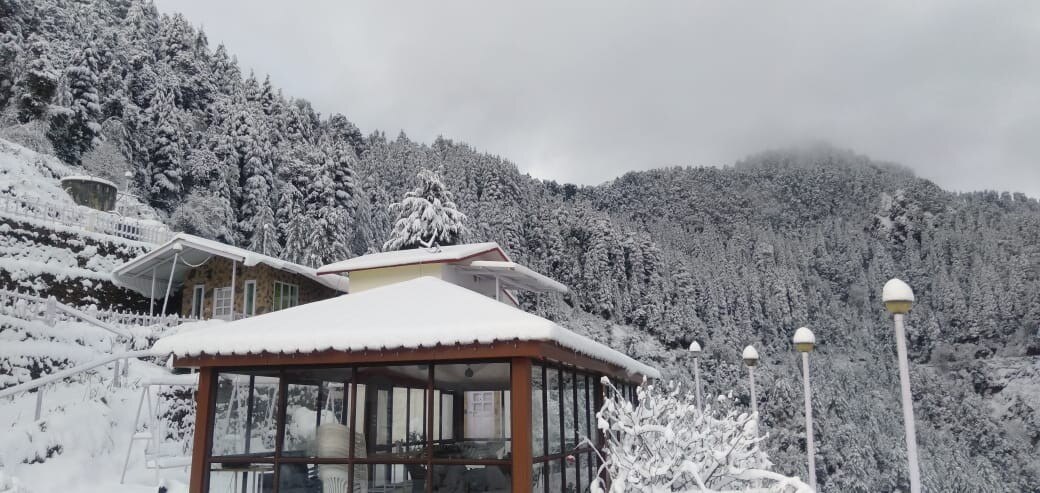 Green Forest Resorts Dhanaulti INR 1865 OFF ( ̶5̶3̶0̶0̶ ) Resort Price ...