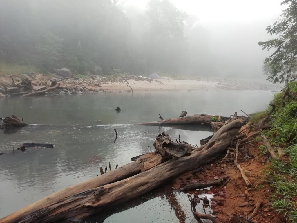 Coorg River Rock Camping Best Rates on Coorg Hotel Deals, Reviews & Photos