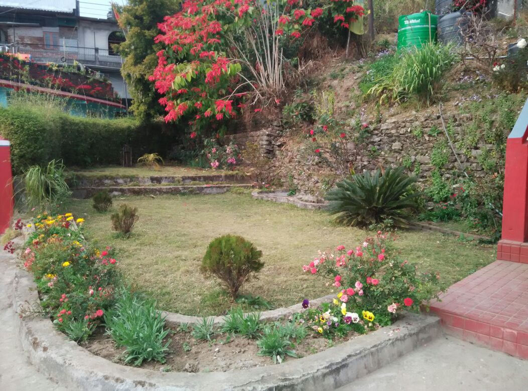 Photos of The Nest - Homestay in Kalimpong