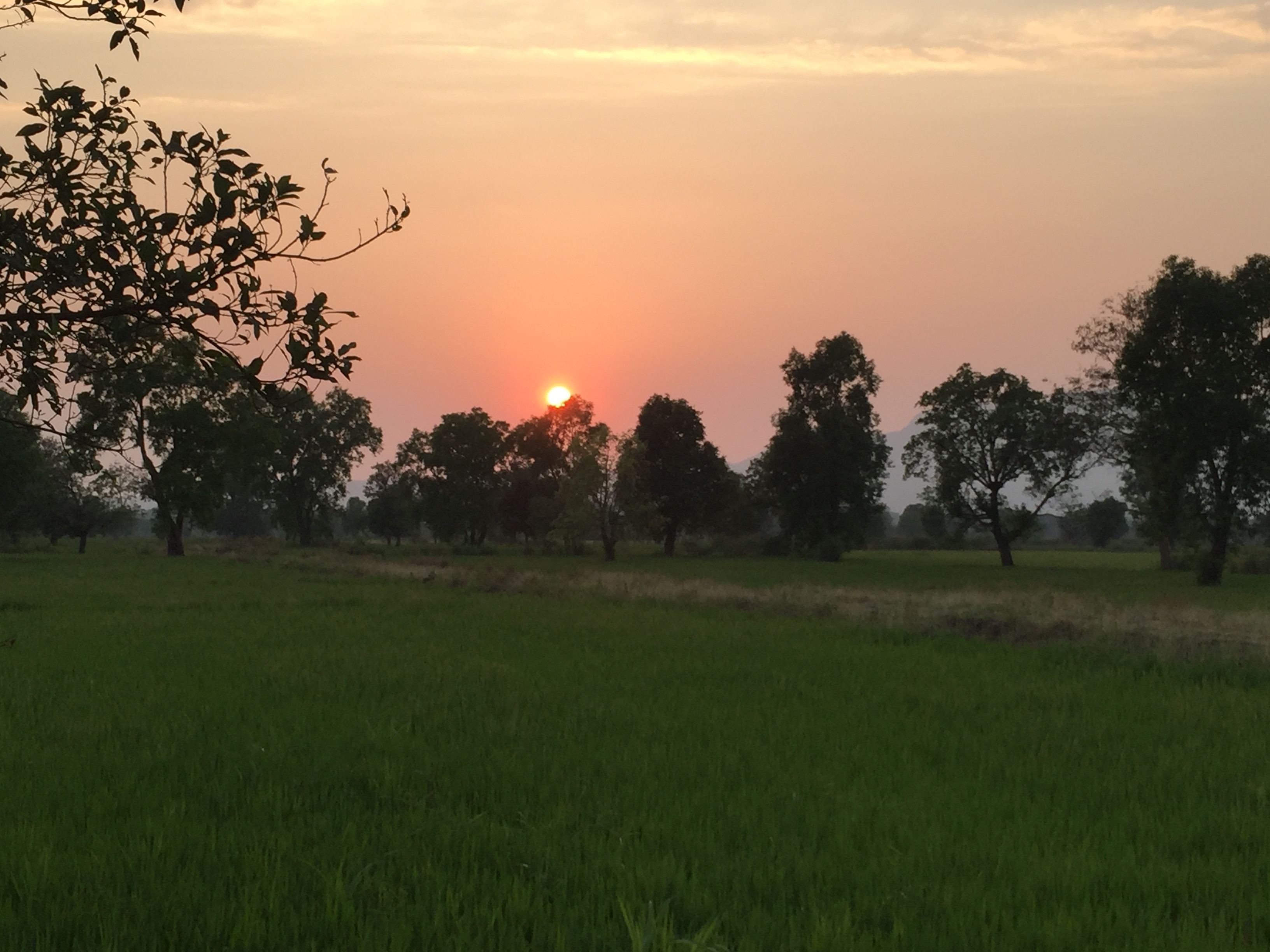 Mango Tree Farm Resort | Farm Stay 𝗕𝗢𝗢𝗞 Karjat Homestay