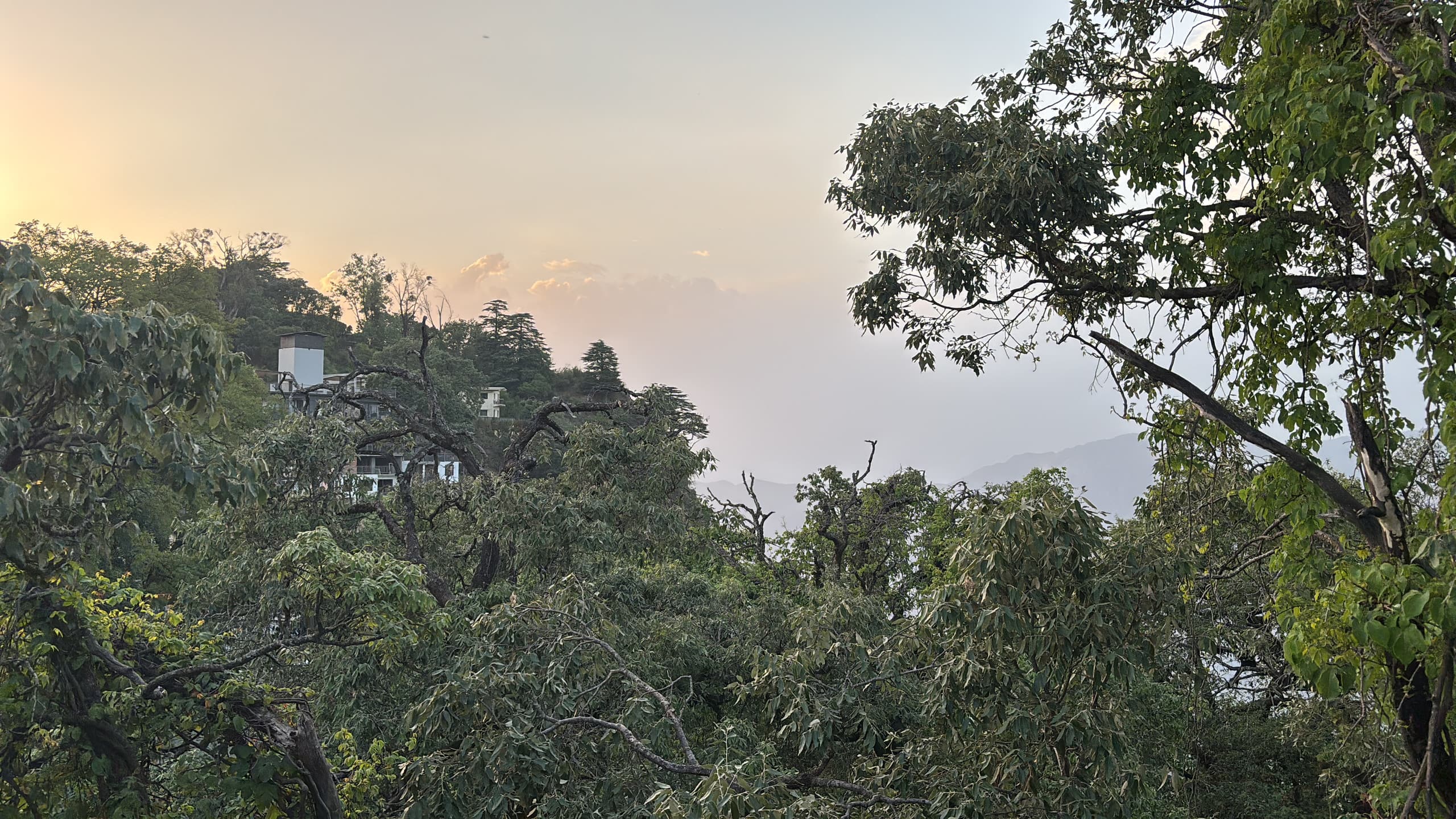 Casa Ami forest frame 2 bhk apartment 𝗕𝗢𝗢𝗞 Mussoorie Apartment