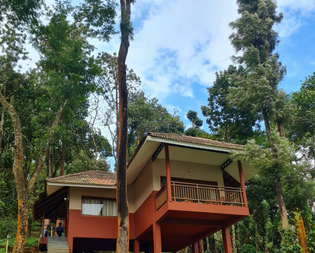 Terrace Resorts 𝗕𝗢𝗢𝗞 Wayanad Resort 𝘄𝗶𝘁𝗵 𝗙𝗥𝗘𝗘 𝗖𝗮𝗻𝗰𝗲𝗹𝗹𝗮𝘁𝗶𝗼𝗻