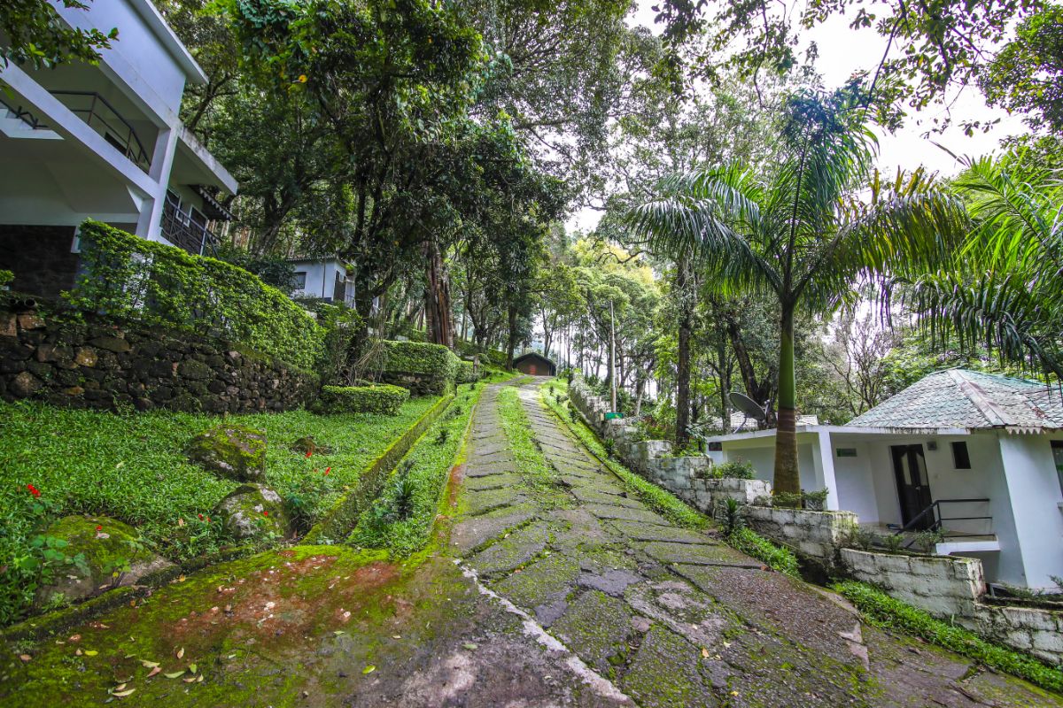 Great Escapes Resorts Munnar Resort Price, Address & Reviews