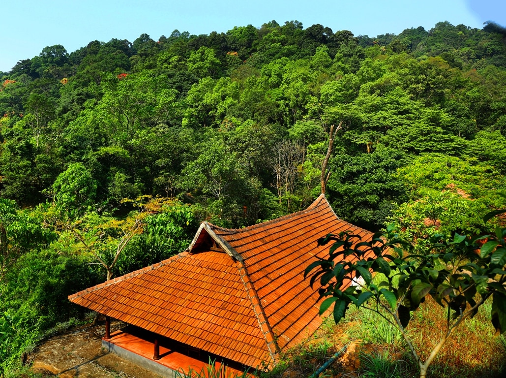 Rain Country Resort Wayanad Resort Price, Address & Reviews