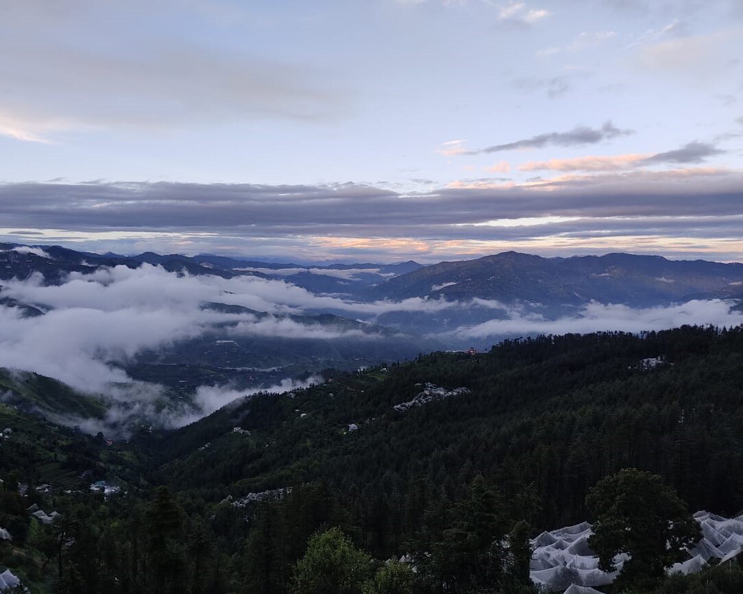 Cheog Valley Homestay Best Rates on Theog Hotel Deals, Reviews & Photos