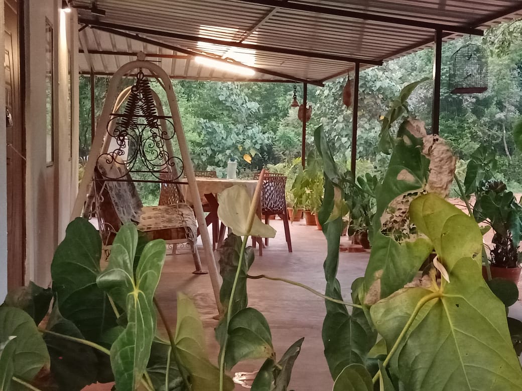 Coorg Coffee park Homestay 𝗕𝗢𝗢𝗞 Coorg Farm House 𝘄𝗶𝘁𝗵 𝗙𝗥𝗘𝗘 𝗖𝗮𝗻𝗰𝗲𝗹𝗹𝗮𝘁𝗶𝗼𝗻