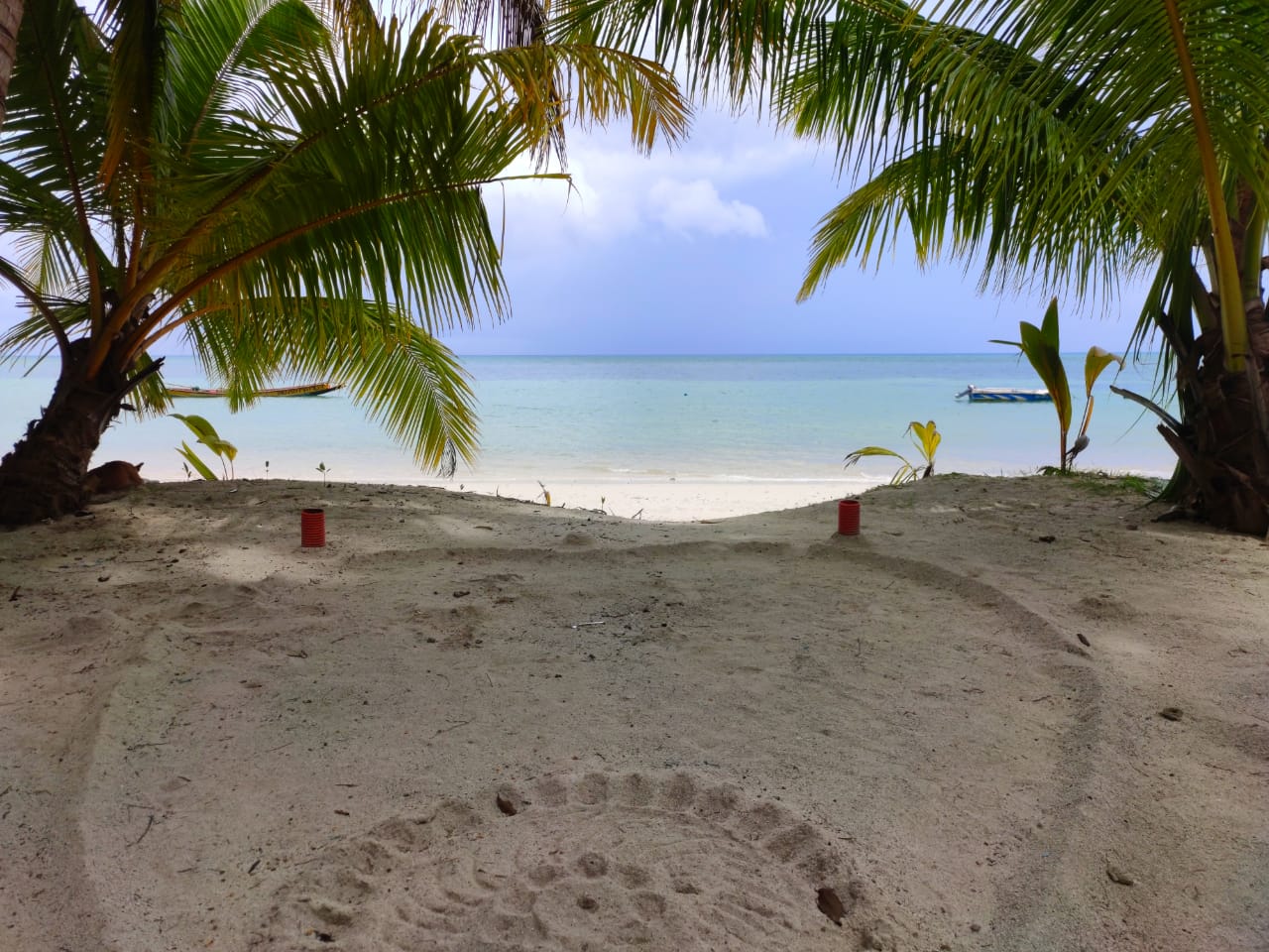 Ocean Tree Beach Resort & Spa 헕헢헢헞 Havelock Resort