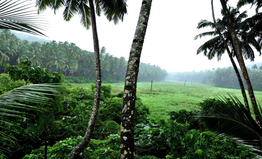 Devasthali - The Valley Of Gods Goa Resort Price, Address & Reviews